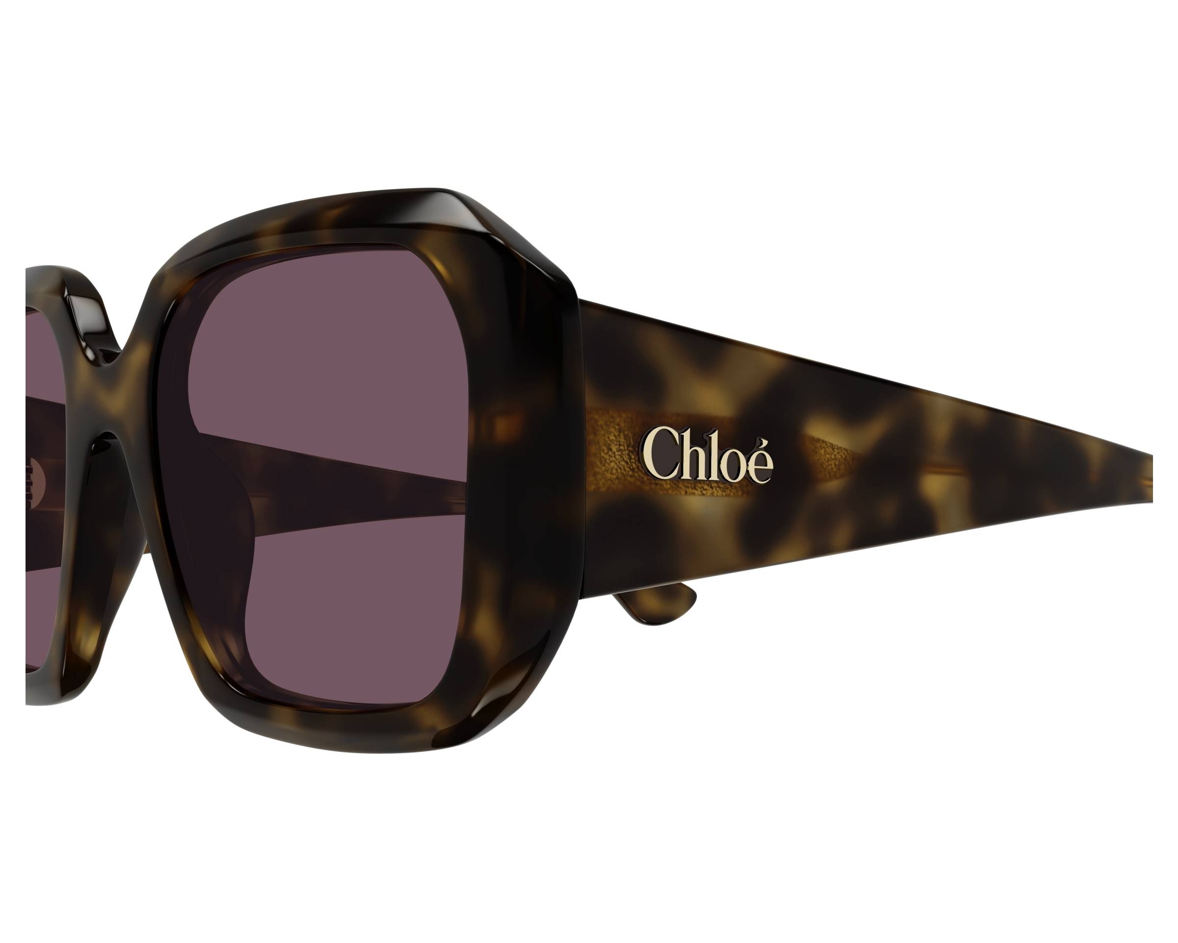 Lunettes de soleil Chloe CH0300S 002