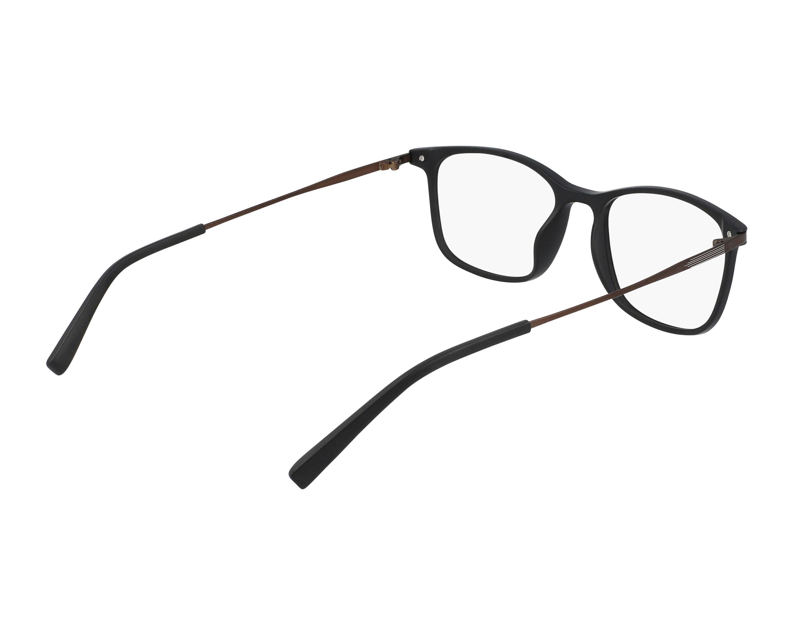 Flexon Glasses EP8016 004